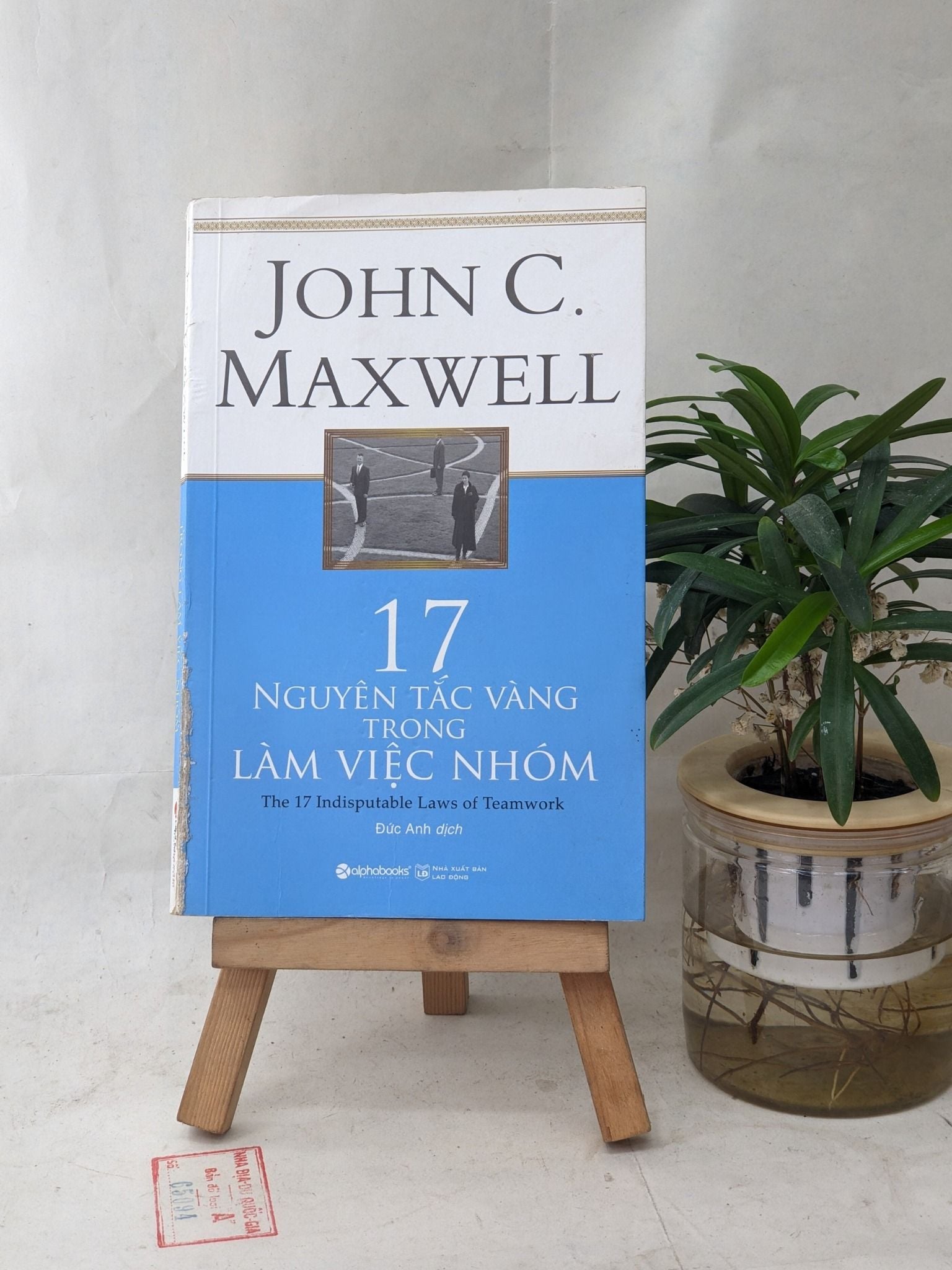 17 nguyên tắc vàng trong làm việc nhóm - John C. Maxwell – Momo Bookstore