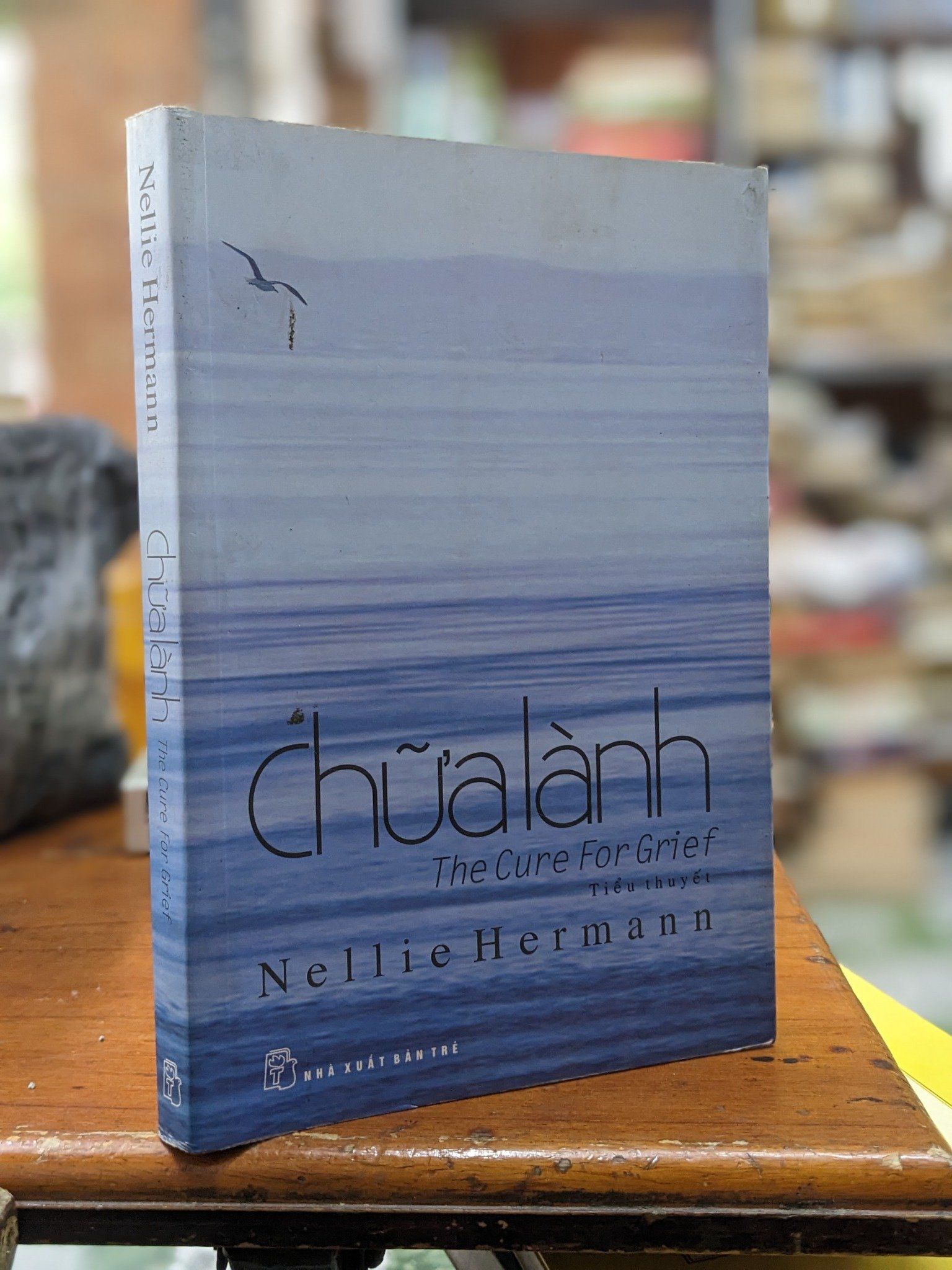 CHỮA LÀNH - NELLIE HERMANN – Momo Bookstore