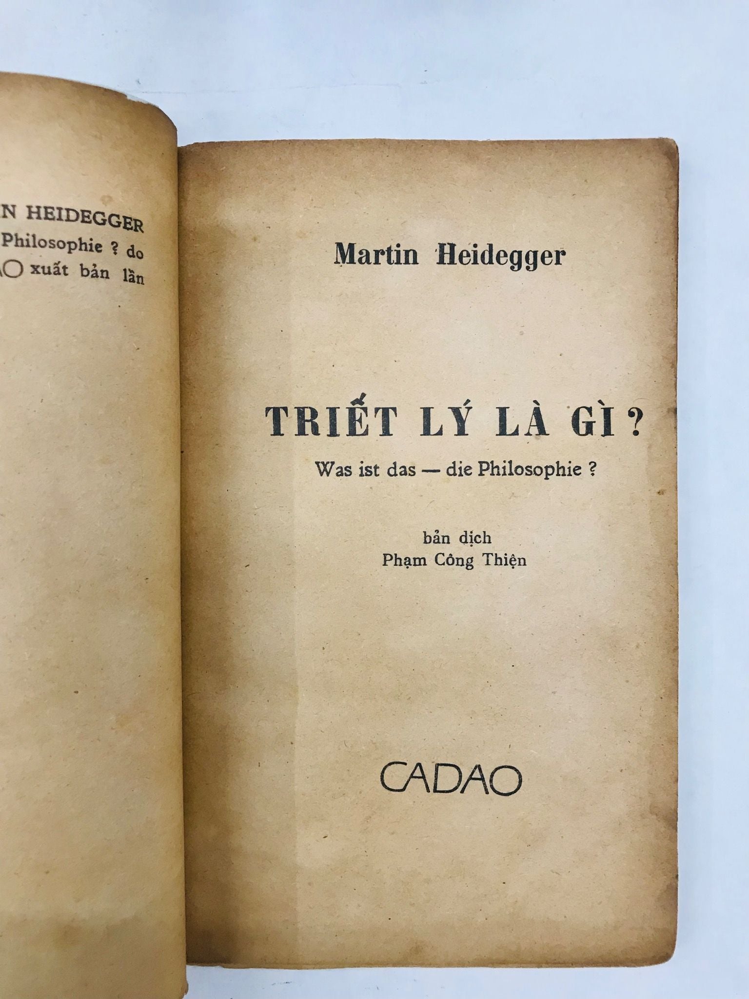 Triết lý là gì - Martin Heidegger – Momo Bookstore