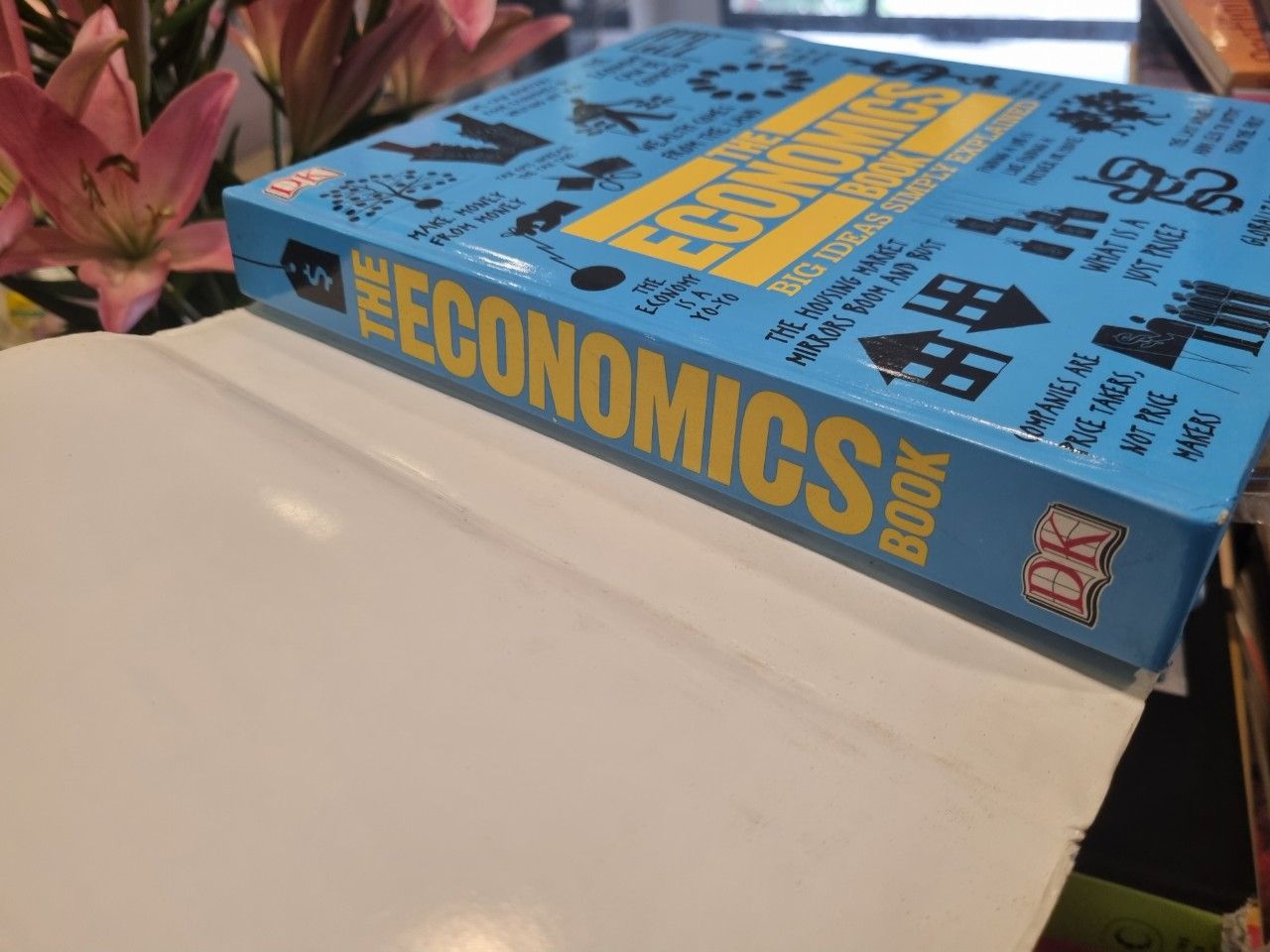 THE ECONOMICS BOOK: BIG IDEAS SIMPLY EXPLAINED (DK BIG IDEAS) – Momo ...