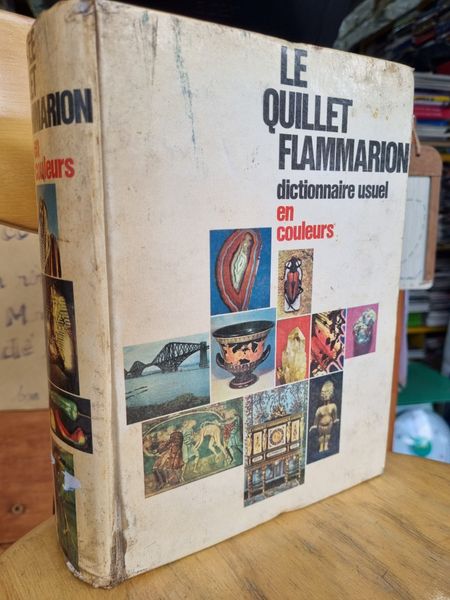 LE QUILLET FLAMMARION : DICTIONNAIRE USUEL EN COULEURS – Momo Bookstore
