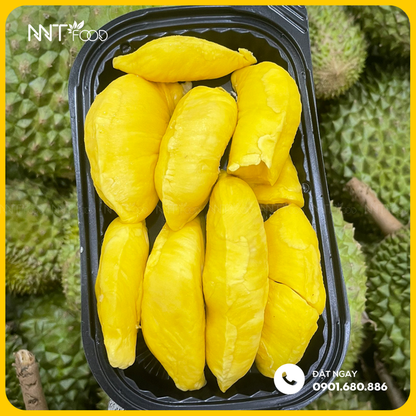 VUA SẦU RIÊNG MUSANG KING cơm khui - Mở nắp là thưởng thức, tiện lợi ...