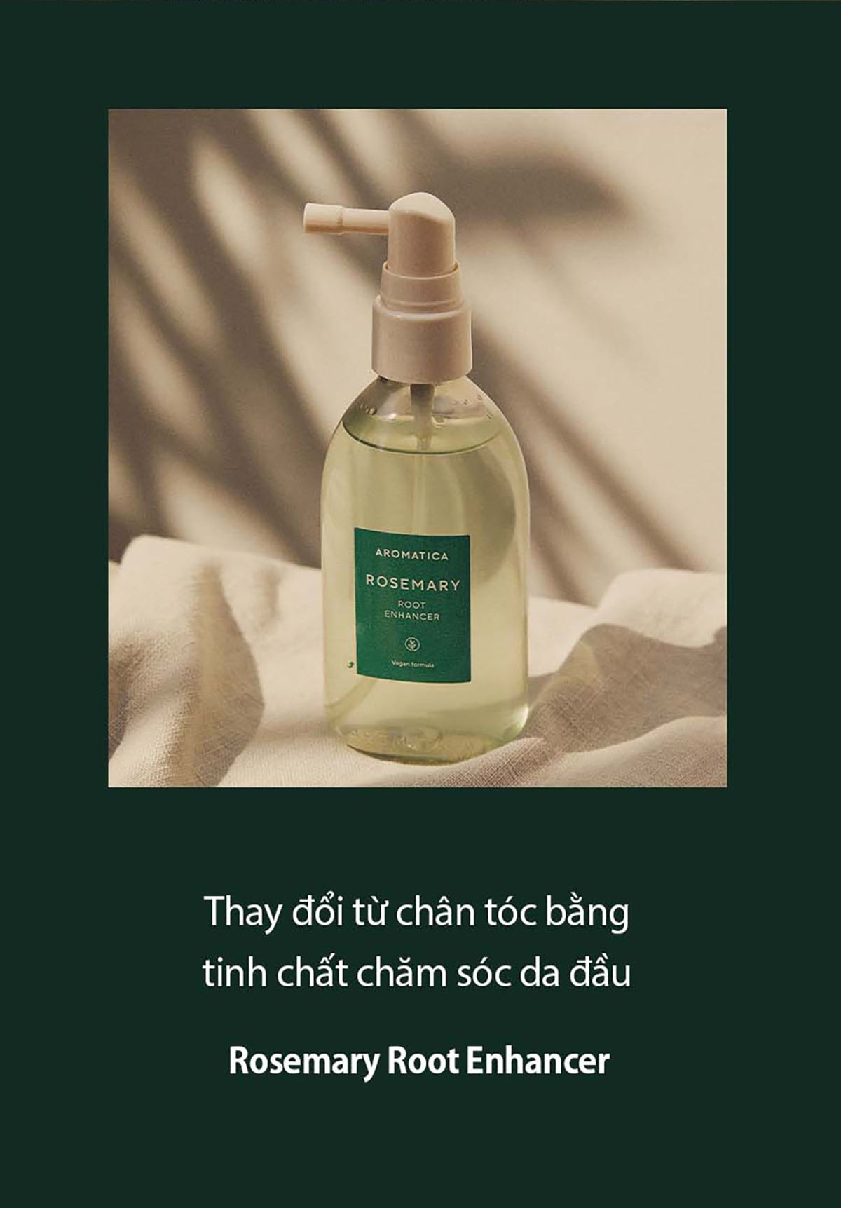 Nước dưỡng tóc giảm gàu nấm AROMATICA Rosemary Root Enhancer 100ml chi ...