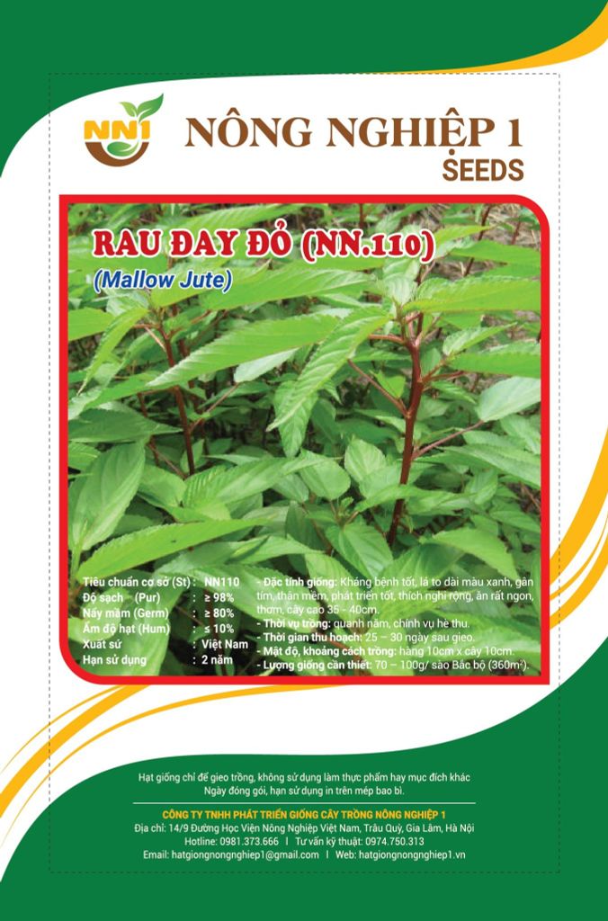 Hạt giống rau đay đỏ – SUNSEEDS