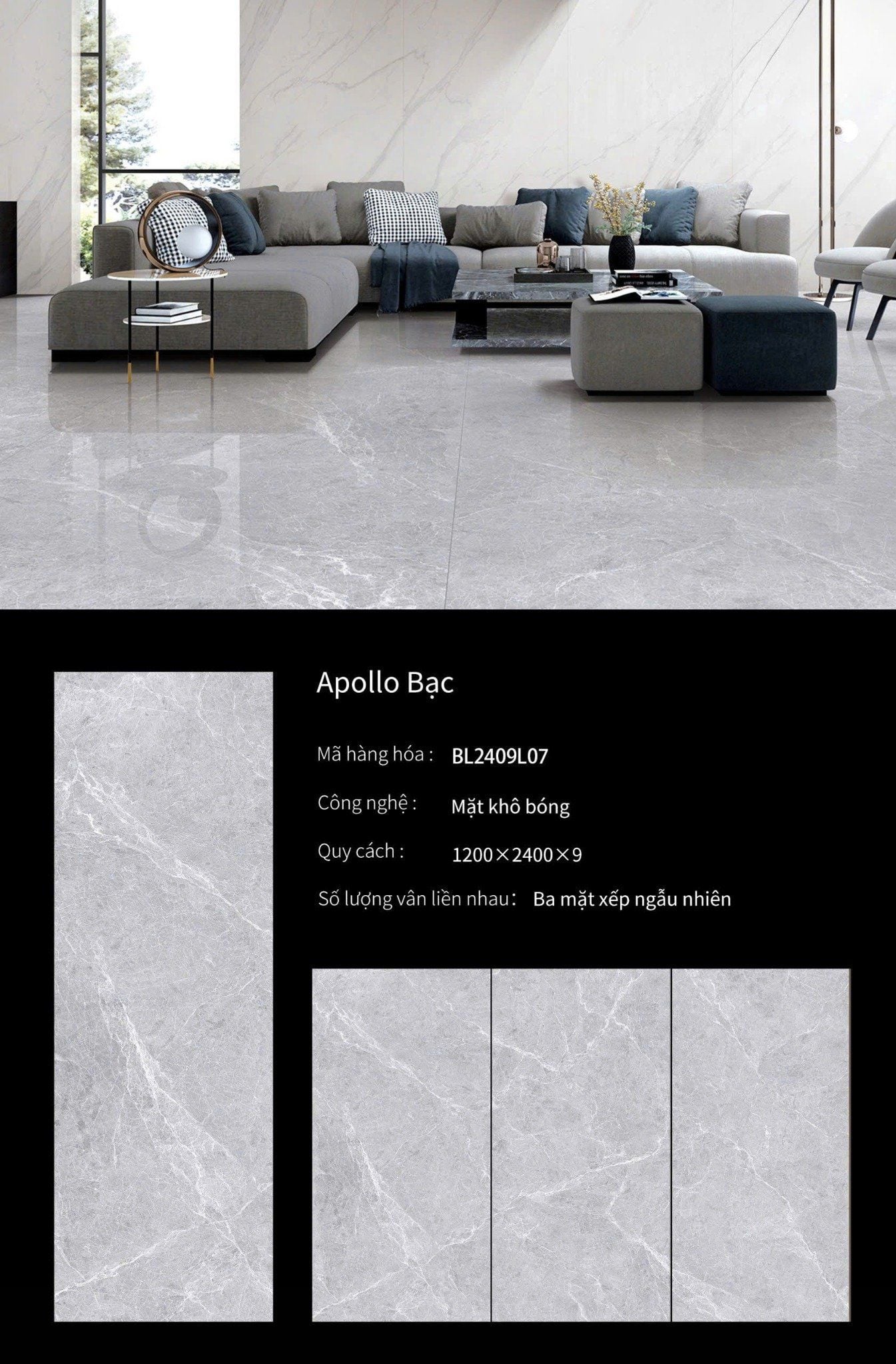 Apollo Bạc – quartzvietnam