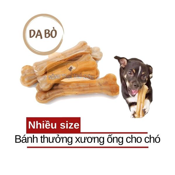 Xương Gặm Da Bò Giúp Sạch Răng MON AMI CHEWIE - Hình Xương Ống – Nông ...