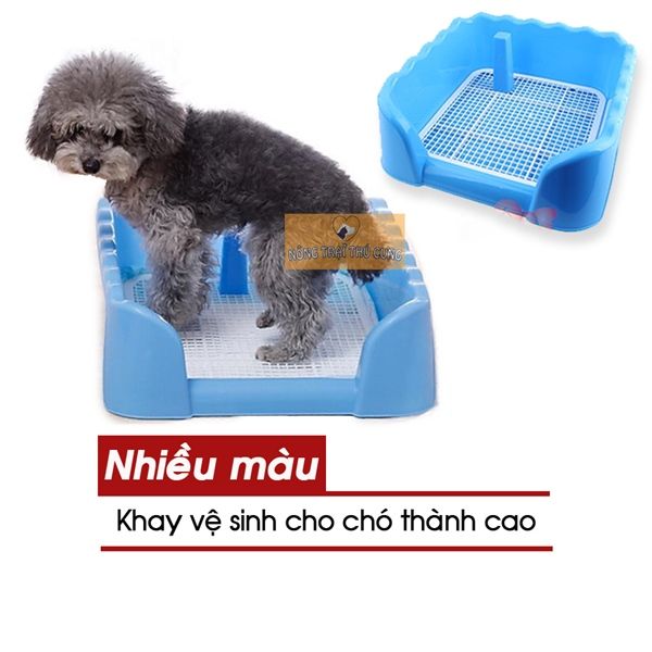 Khay Vệ Sinh Chó Thành Cao Lượn Sóng - 50x40x13cm – Nông Trại Thú Cưng
