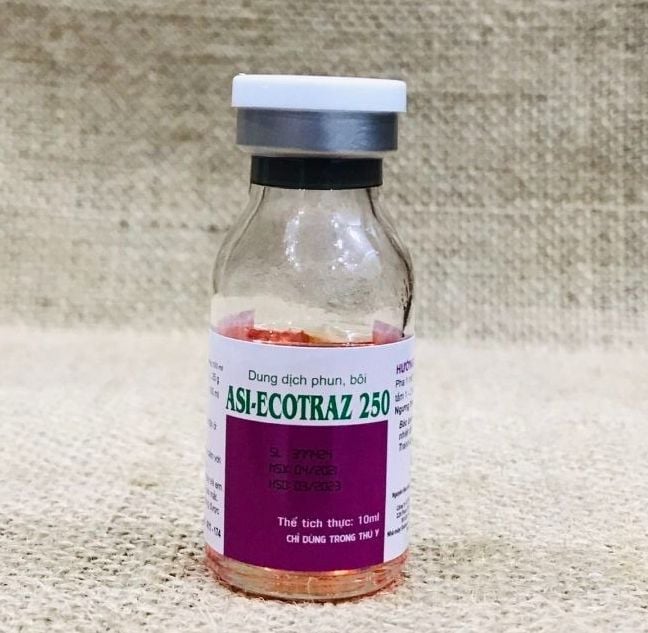 Dung Dịch Trị Ve, Ghẻ, Bọ Chét Asi-Ecotraz 250 Pha Tắm, Xịt Môi Trường ...