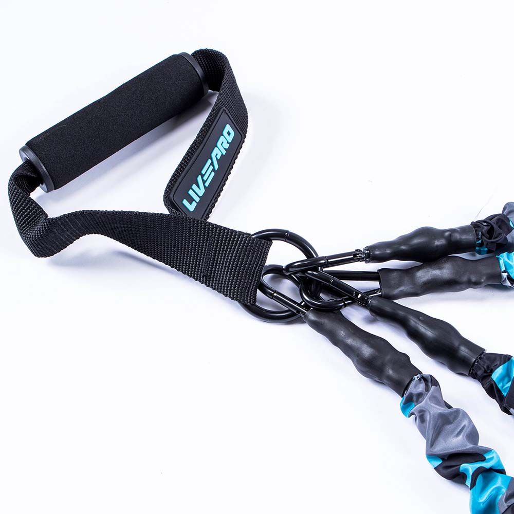 Dây tập kháng lực đa năng thương hiệu Livepro Single Combat Trainer LP – Liveprofitness Vietnam