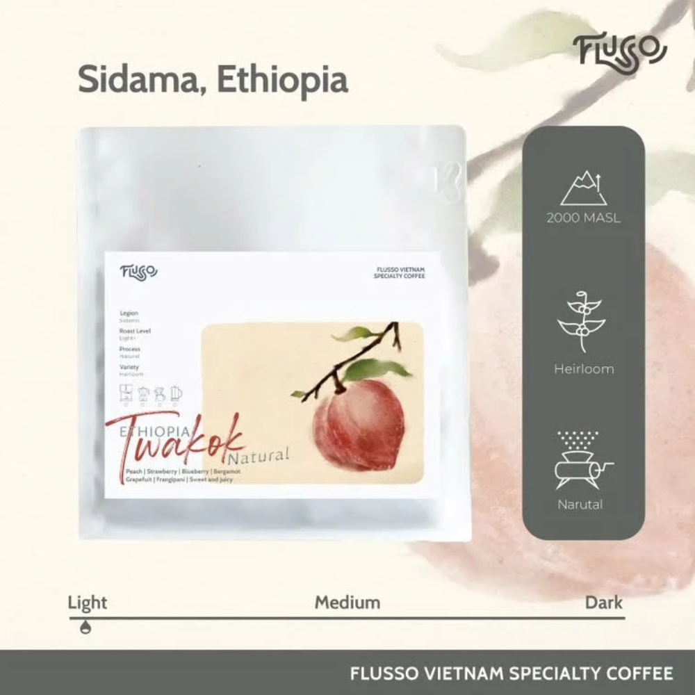 Cà phê Specialty Ethiopia Sidama Twakok Natural – Flusso Vietnam ...