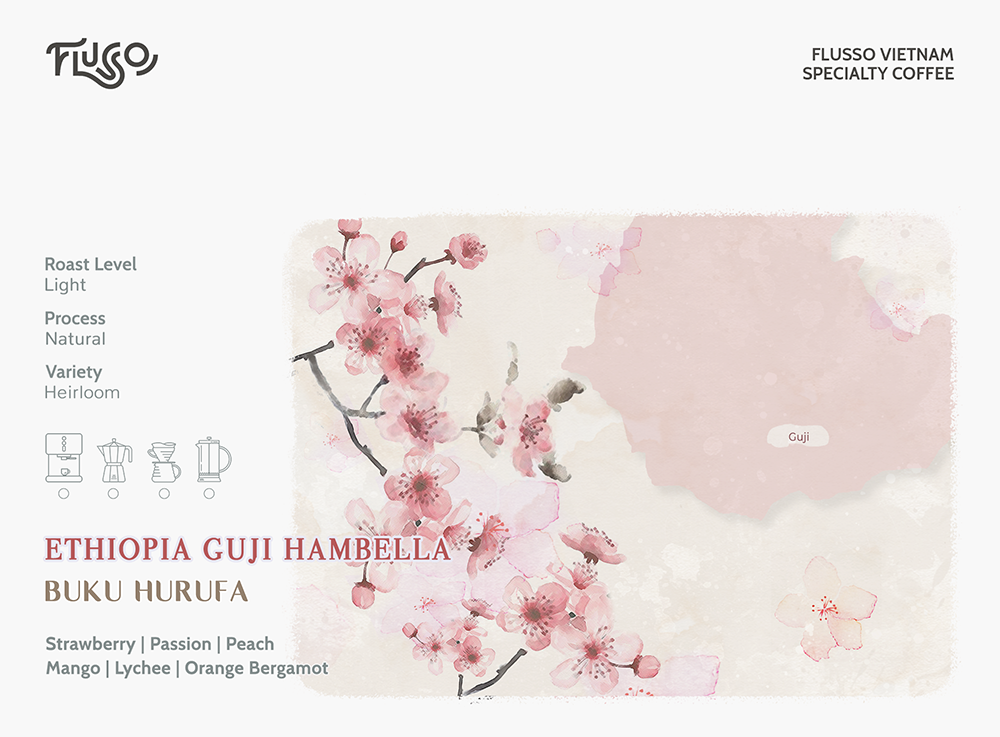 Cà Phê Specialty Ethiopia Guji Hambella Buku Hurufa G1 Natural – Flusso ...