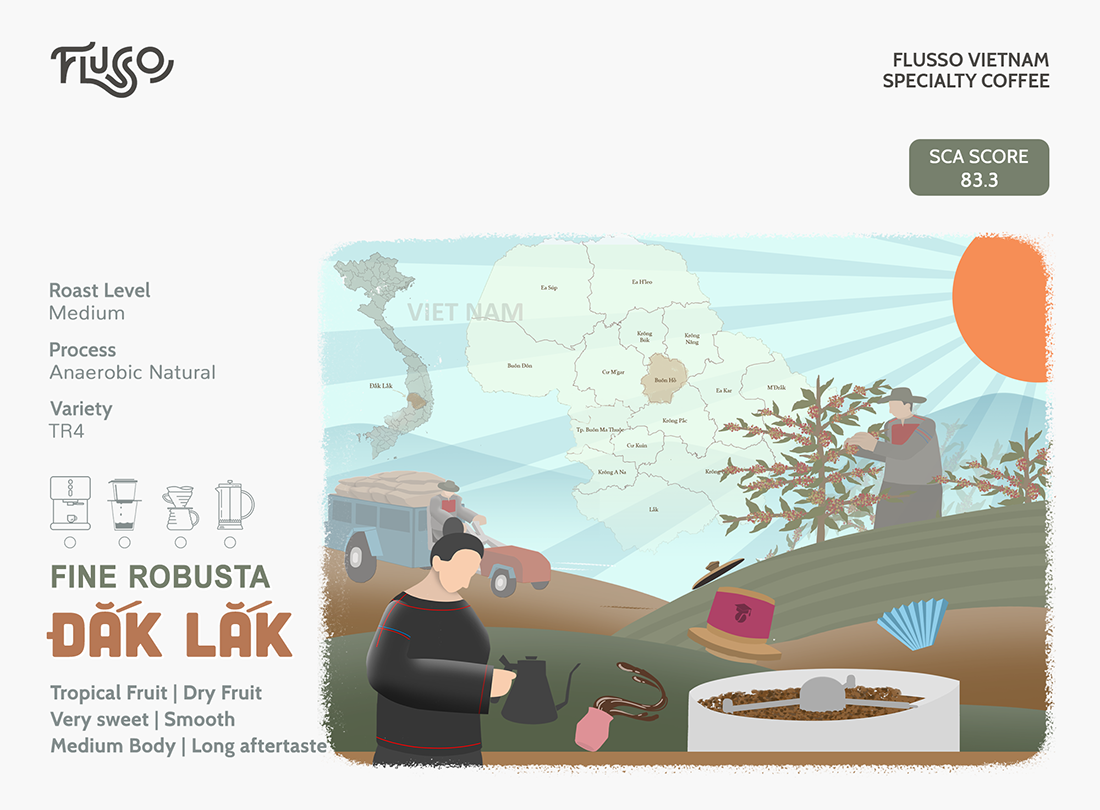 [FINE ROBUSTA] Cà Phê Fine Robusta Đắk Lắc Việt Nam – Flusso Vietnam ...