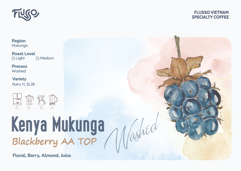 Cà phê Specialty Kenya Mukunga Blackberry AA TOP Washed – Flusso ...