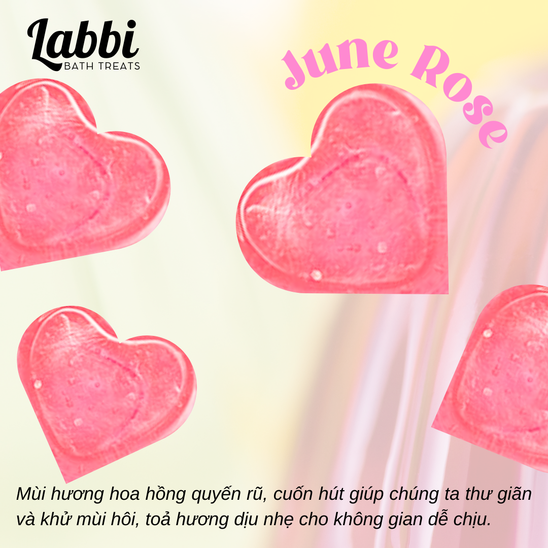 Sáp dẻo tan chảy JUNE ROSE hương hoa hồng [LABBI] Jelly Wax Melts ...
