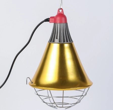 Chao đèn phi 215 – SIBA Mart