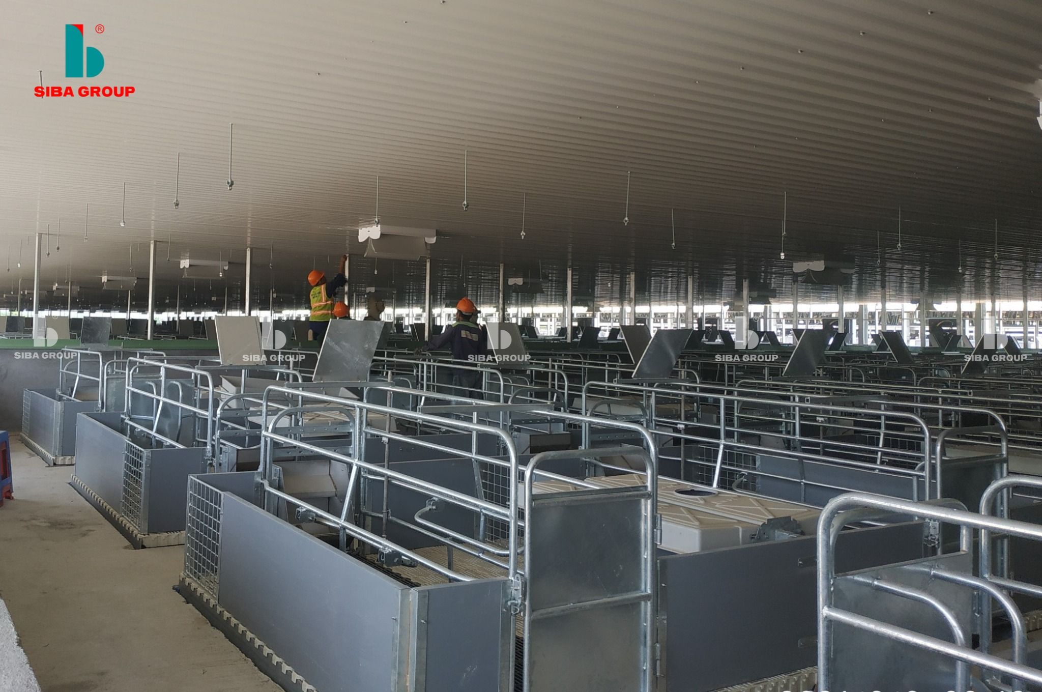 Lồng chuồng heo nái đẻ – SIBA Mart