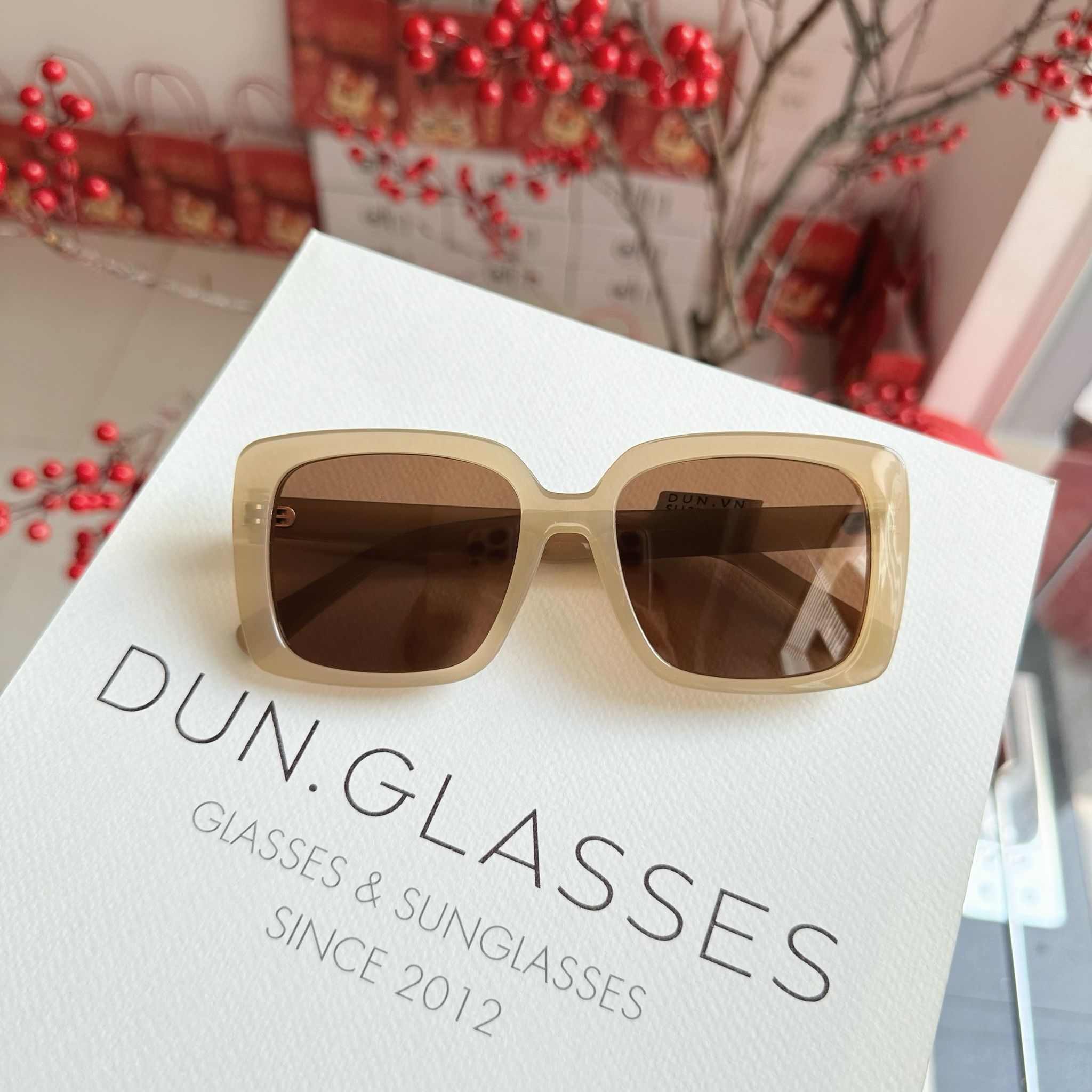 Kính mát chống tia UV400 S1131 - DUN.GLASSES