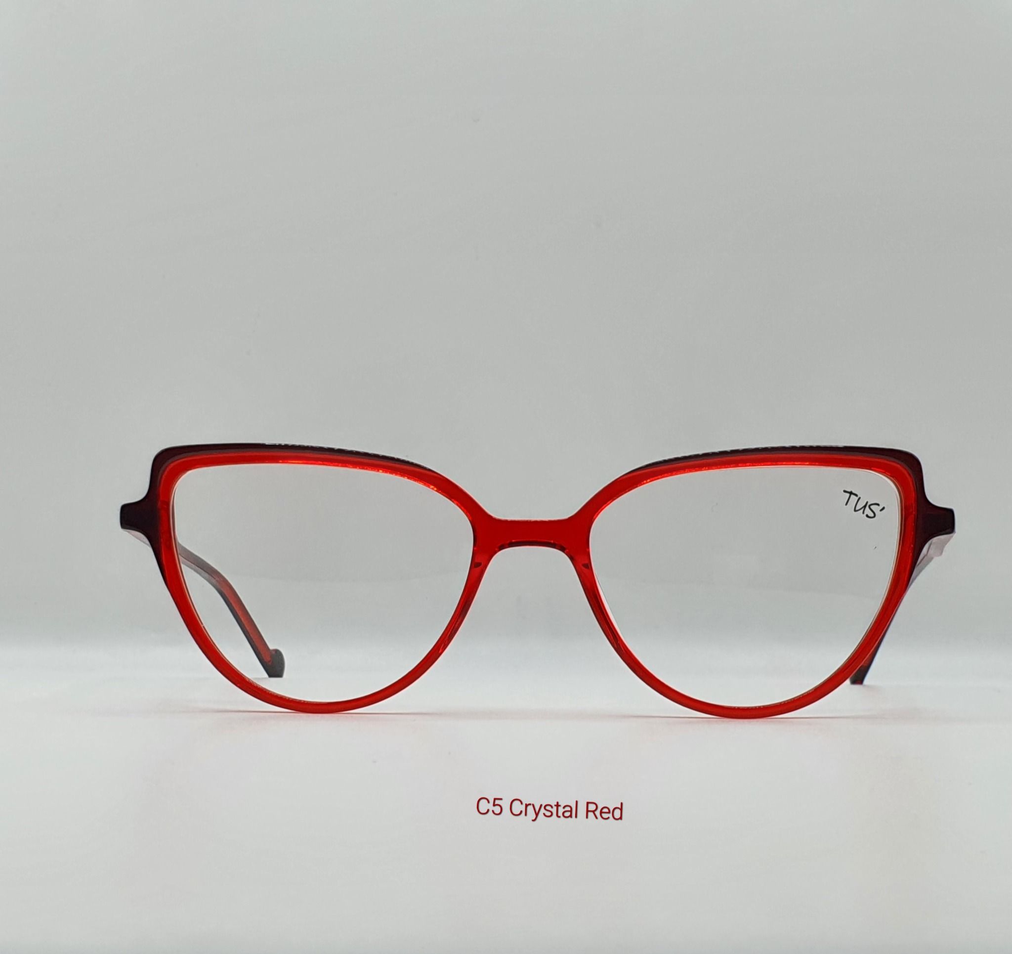 Gọng Nhựa Tus 890 _ Acetate Frames – DŨNG HIỂN 6HF EYEWEAR