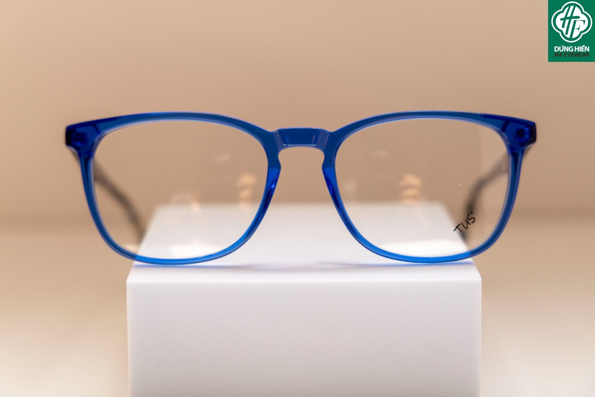 81005 # Gọng Bio-Acetate frame – DŨNG HIỂN 6HF EYEWEAR