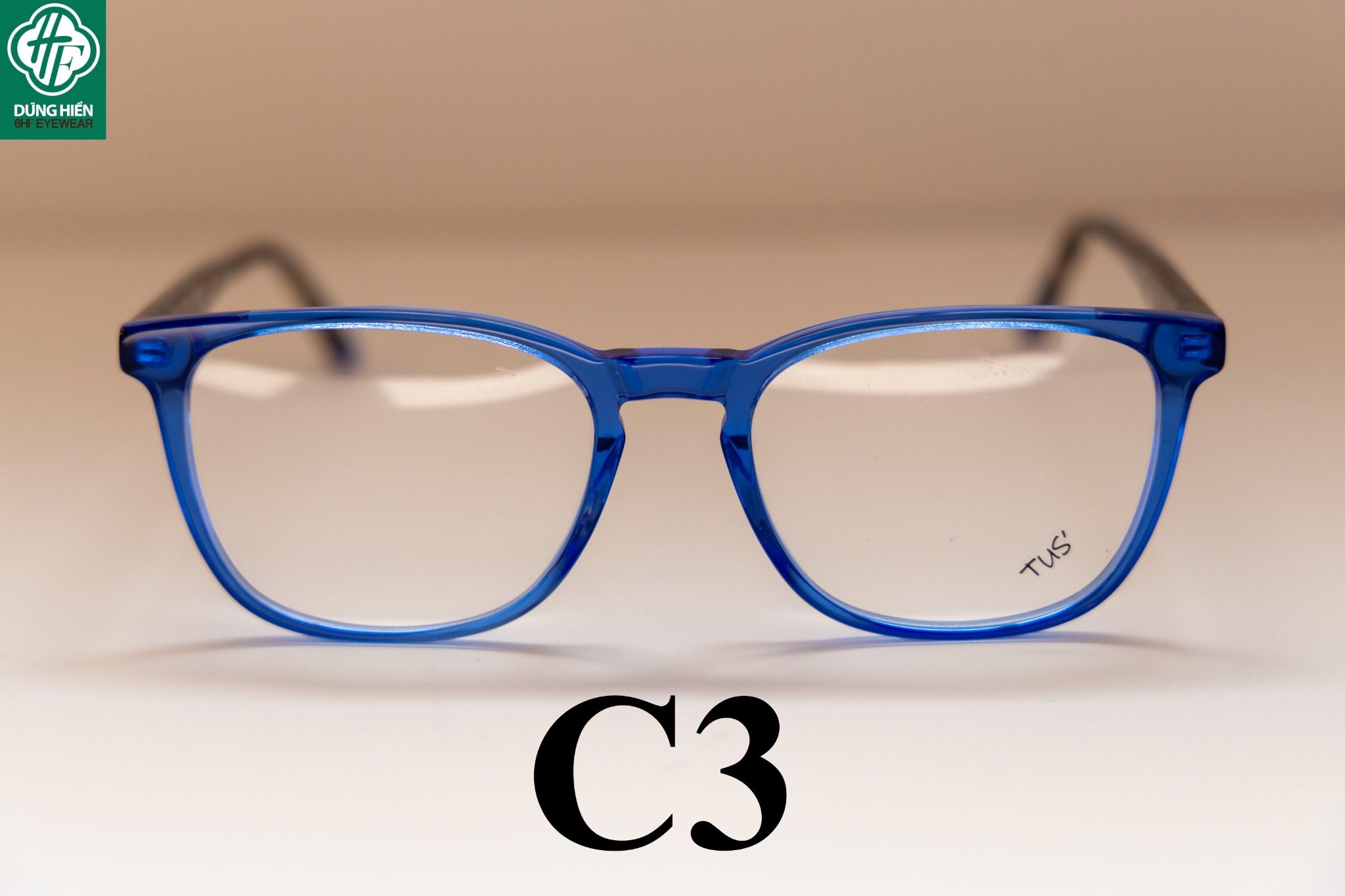 81005 # Gọng Bio-Acetate frame – DŨNG HIỂN 6HF EYEWEAR