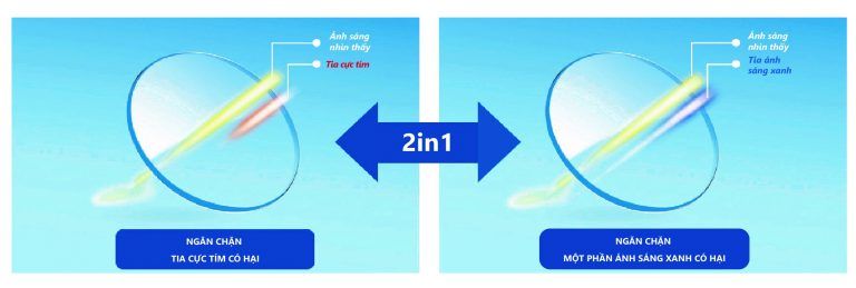 Tròng Chemi U6 – DŨNG HIỂN 6HF EYEWEAR