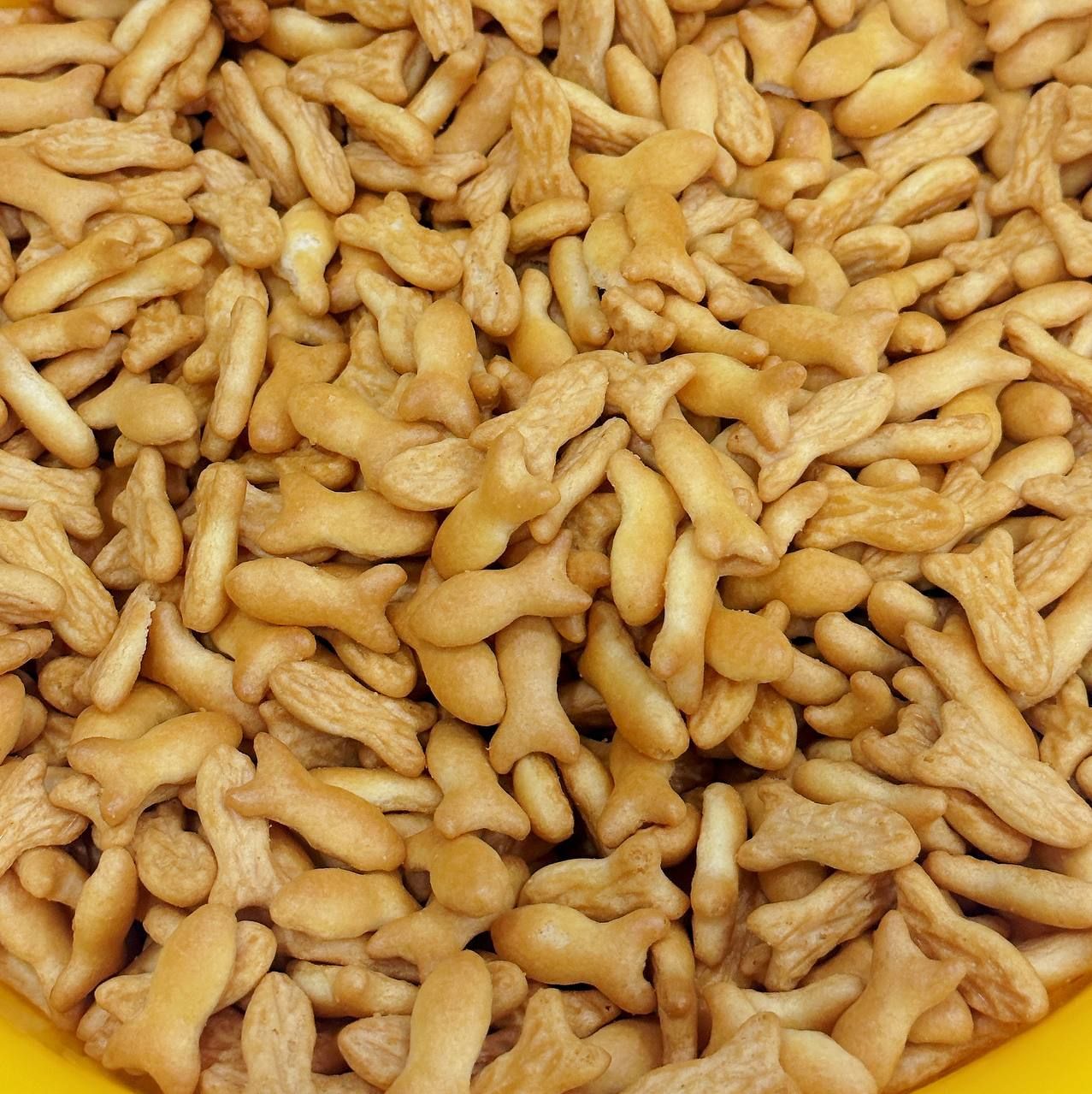 BÁNH QUY CON CÁ – Mlem Food