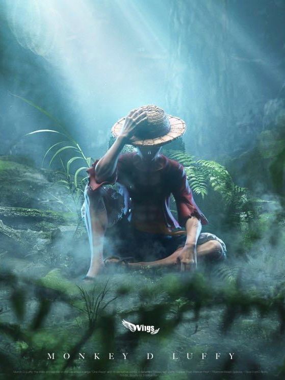 Luffy - One Piece - Wings Studio – NZ Toys