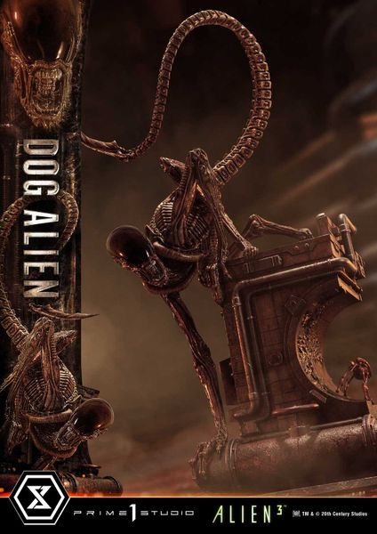Dog Alien - Alien 3 - Prime 1 Studio – NZ Toys