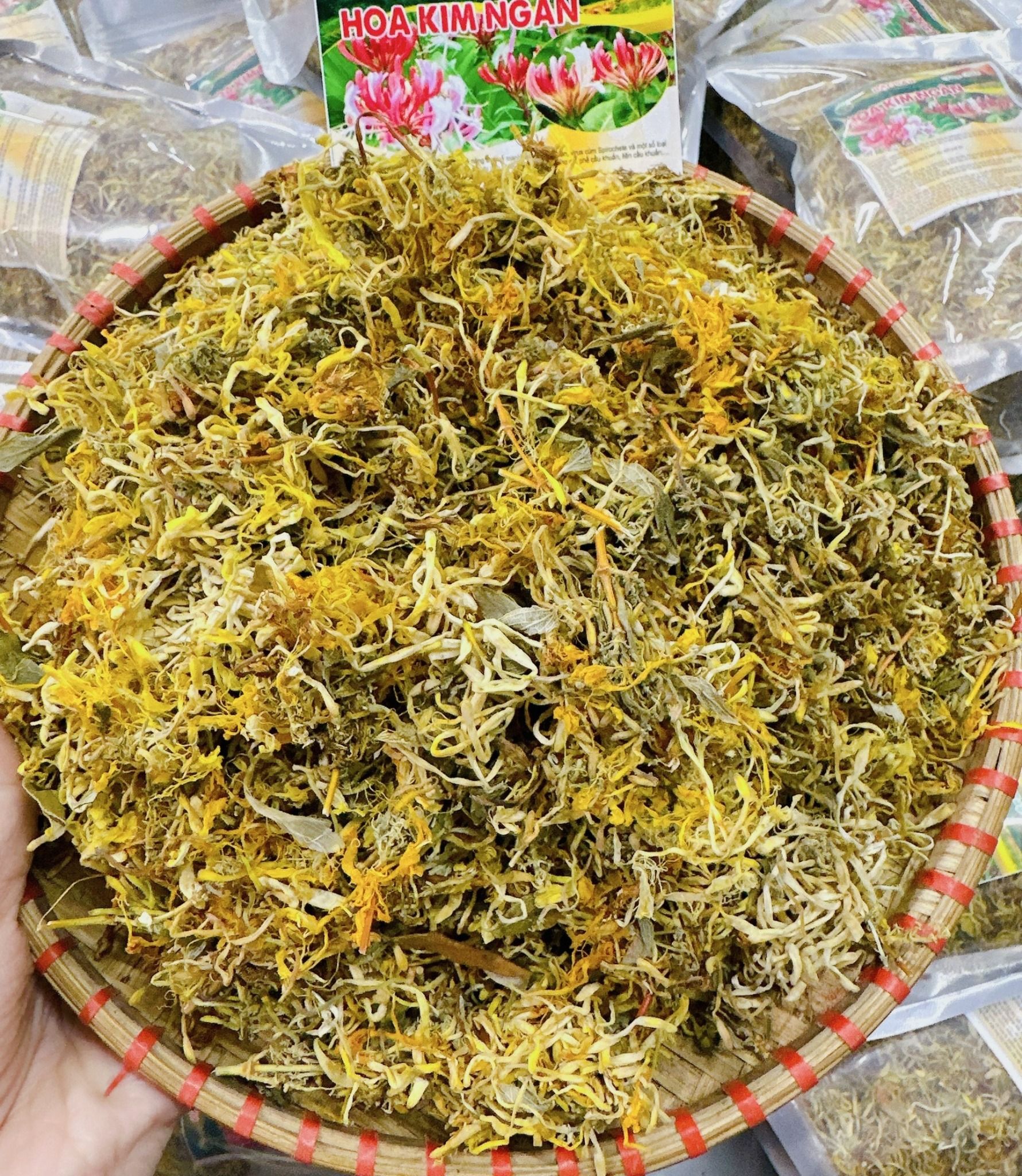 Hoa kim ngân – Thảo Dược 2B