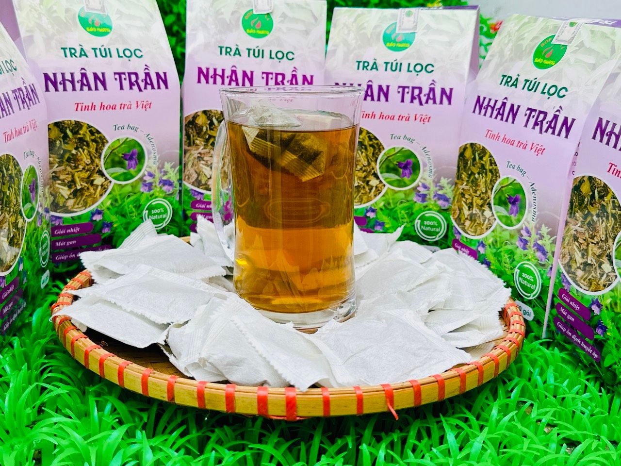 Nhân trần tía 1kg – Thảo Dược 2B