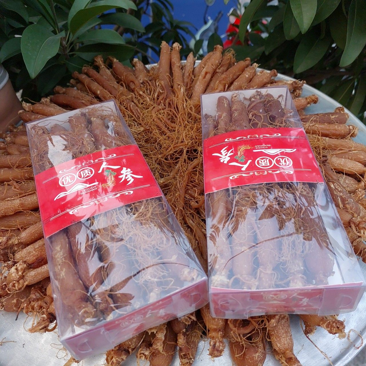 Hồng sâm sấy dẻo – Thảo Dược 2B