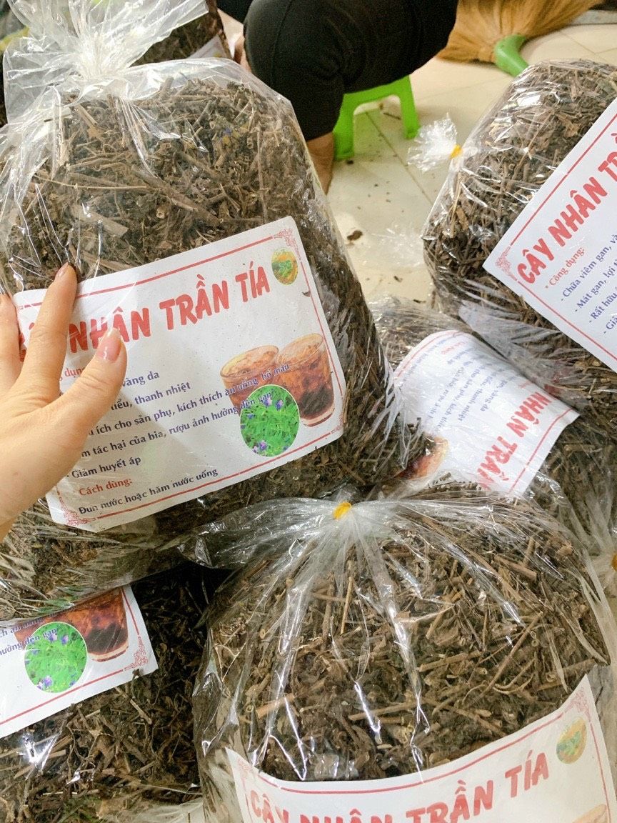 Nhân trần tía 1kg – Thảo Dược 2B
