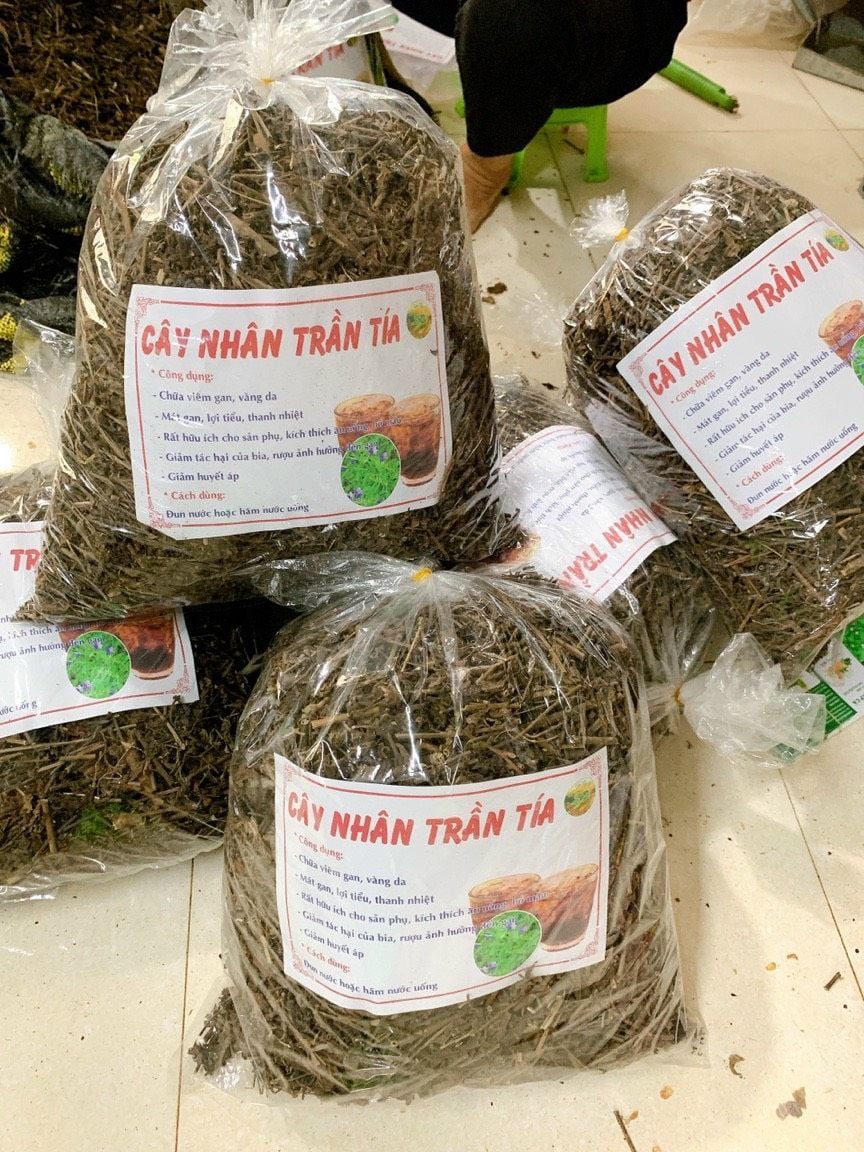 Nhân trần tía 1kg – Thảo Dược 2B