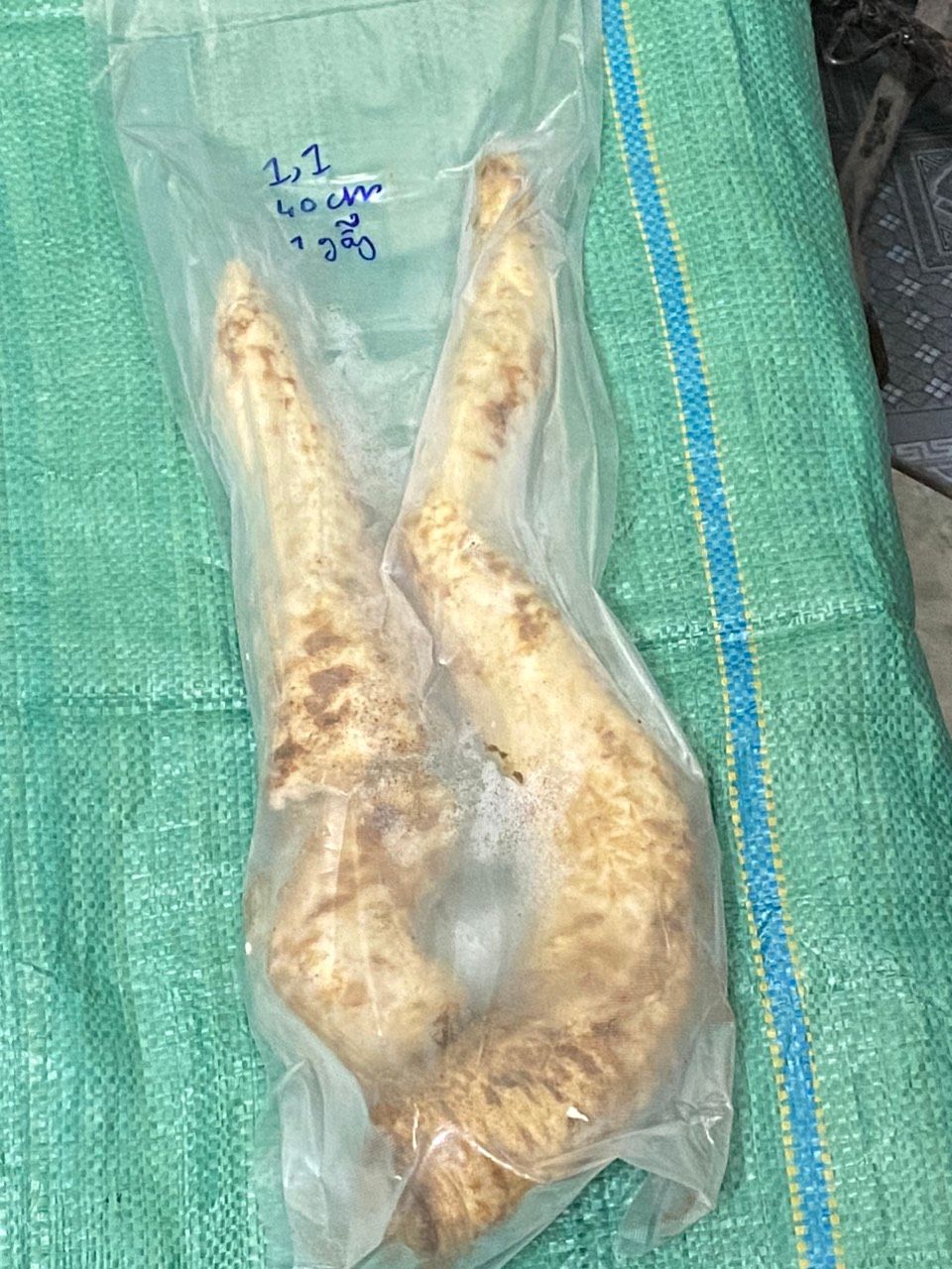 Nhục thung dung tươi 1kg – Thảo Dược 2B