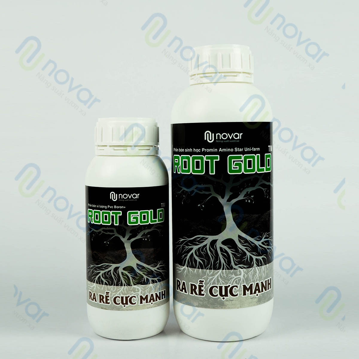 ROOT GOLD – Novar
