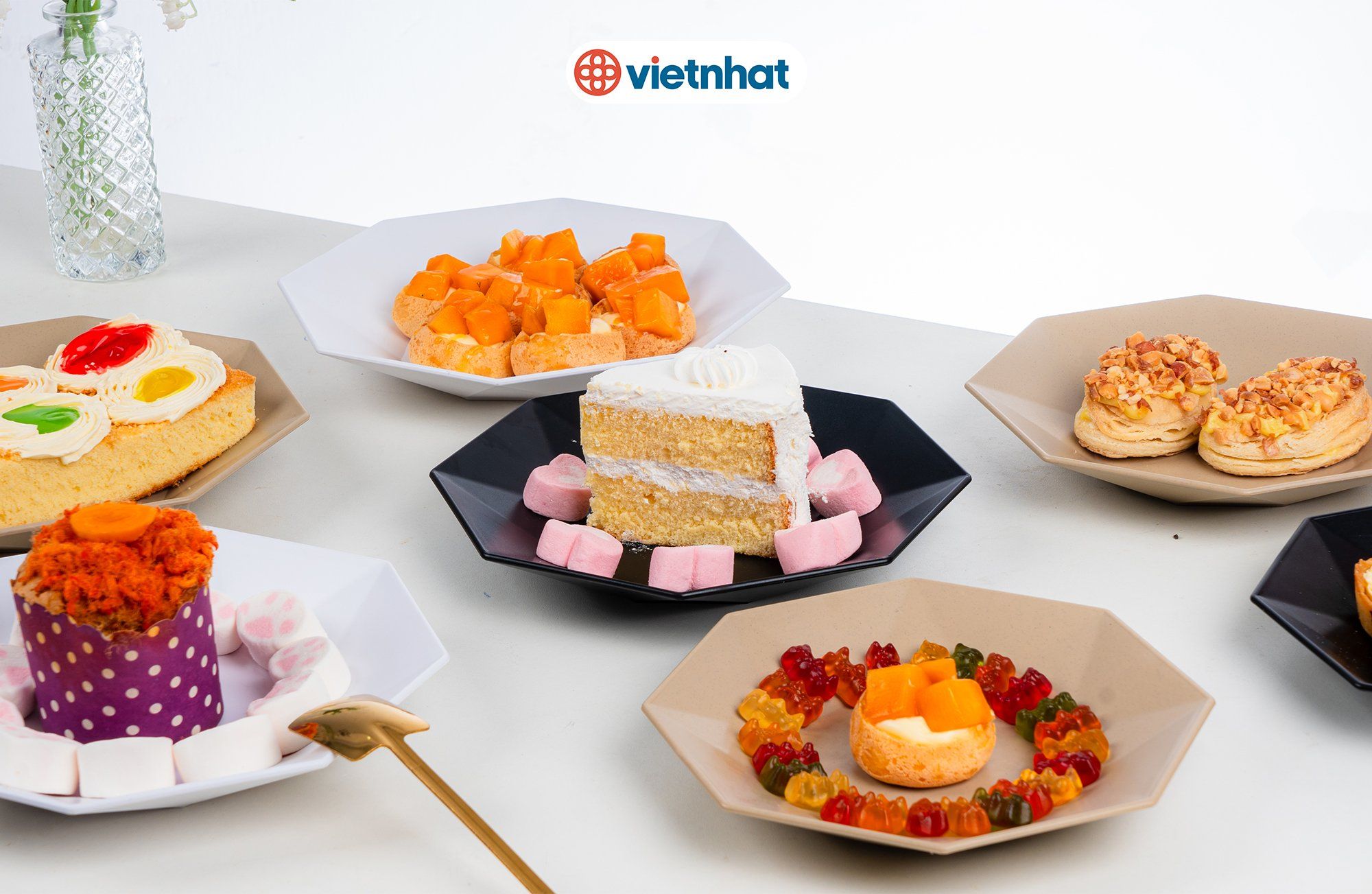 Đĩa kim cương 2T3 – Nhựa Việt Nhật