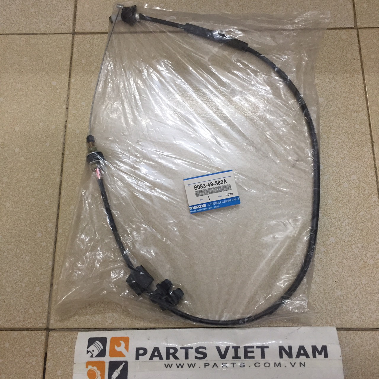 DÂY GA FORD FOCUS MÁY 1.6 – Parts Viet Nam - Order Phụ Tùng Ô Tô Quốc Tế
