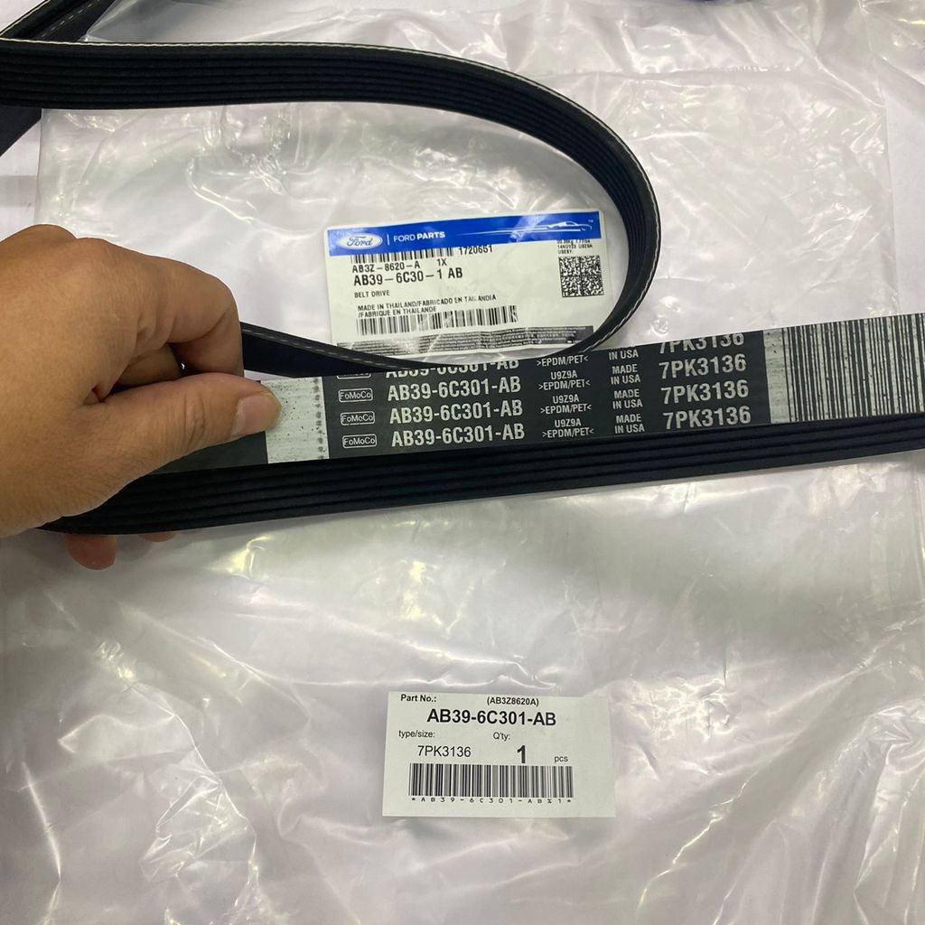 Dây curoa tổng Ford Ranger, Mazda BT50 máy 2.2 đời 2014 - 2019. Hàng c ...