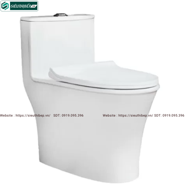 Bồn cầu 1 khối Thiên Thanh GALAXY CK66 (2 nút nhấn xả)