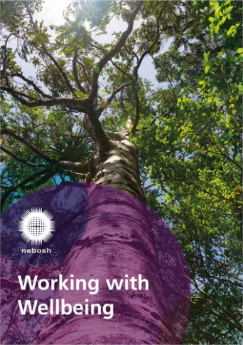 Working with Wellbeing – TST EDUCATION