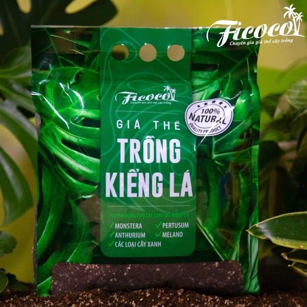 Giá thể trồng kiểng lá Ficoco - 7L – KIM NGÂN GIAO
