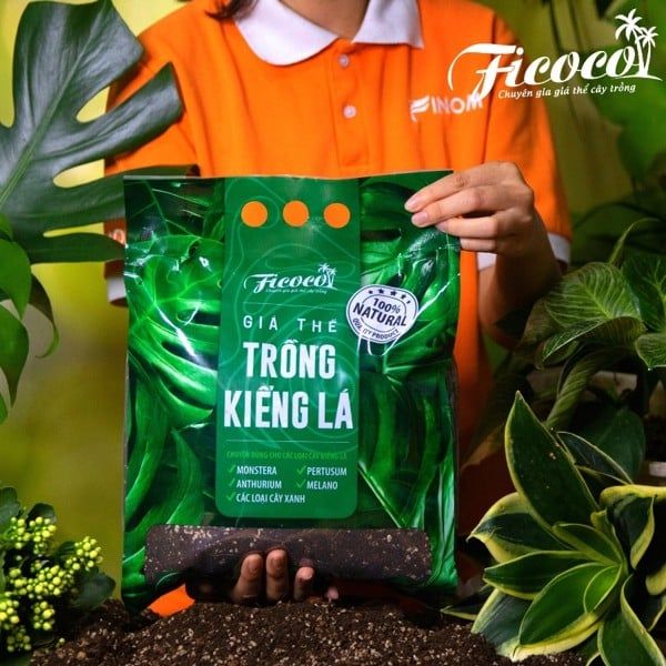 Giá thể trồng kiểng lá Ficoco - 7L – KIM NGÂN GIAO