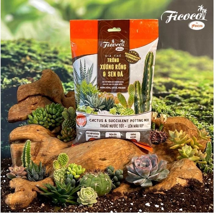 GIÁ THỂ TRỒNG XƯƠNG RỒNG & SEN ĐÁ FICOCO - 2L – KIM NGÂN GIAO