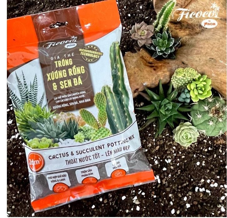 GIÁ THỂ TRỒNG XƯƠNG RỒNG & SEN ĐÁ FICOCO - 2L – KIM NGÂN GIAO