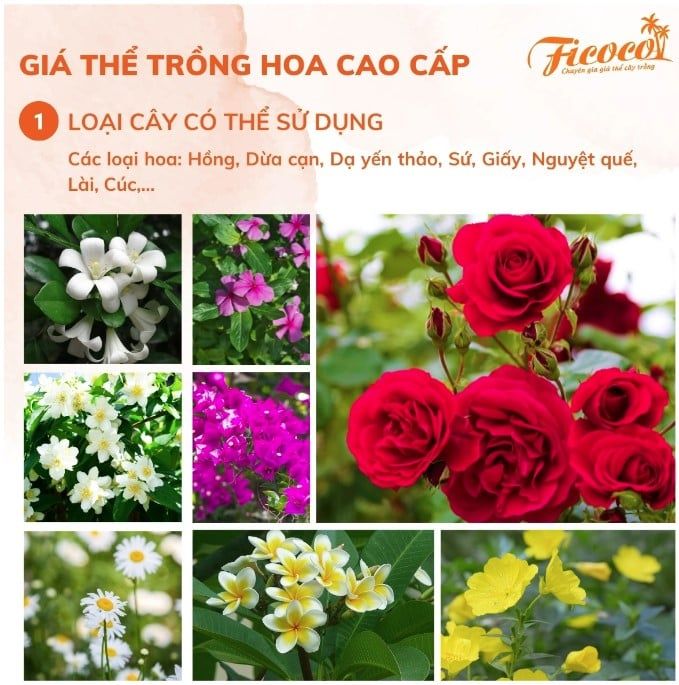 GIÁ THỂ TRỒNG HOA CAO CẤP FICOCO - GÓI 20L (8KG) – KIM NGÂN GIAO