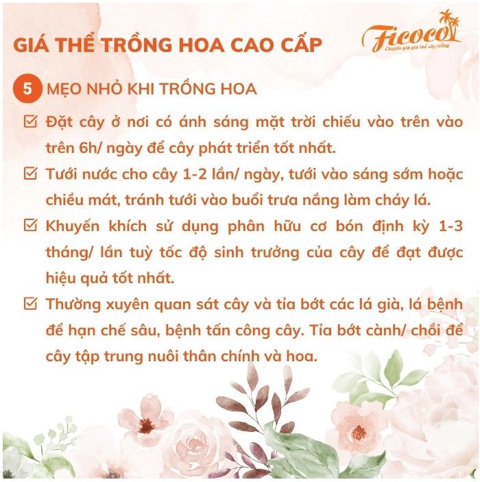 GIÁ THỂ TRỒNG HOA CAO CẤP FICOCO - GÓI 20L (8KG) – KIM NGÂN GIAO