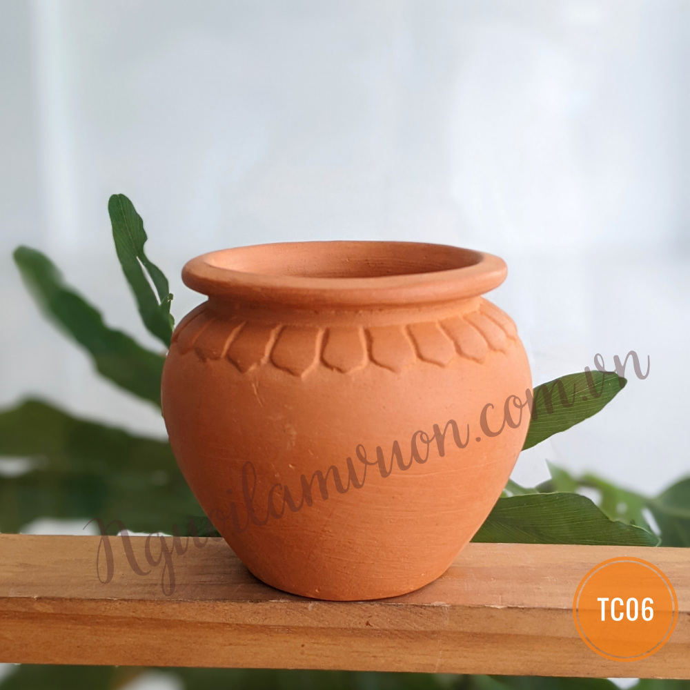 Chậu trồng cây bằng đất nung cao cấp - Chậu trồng xương rồng, sen đá m ...