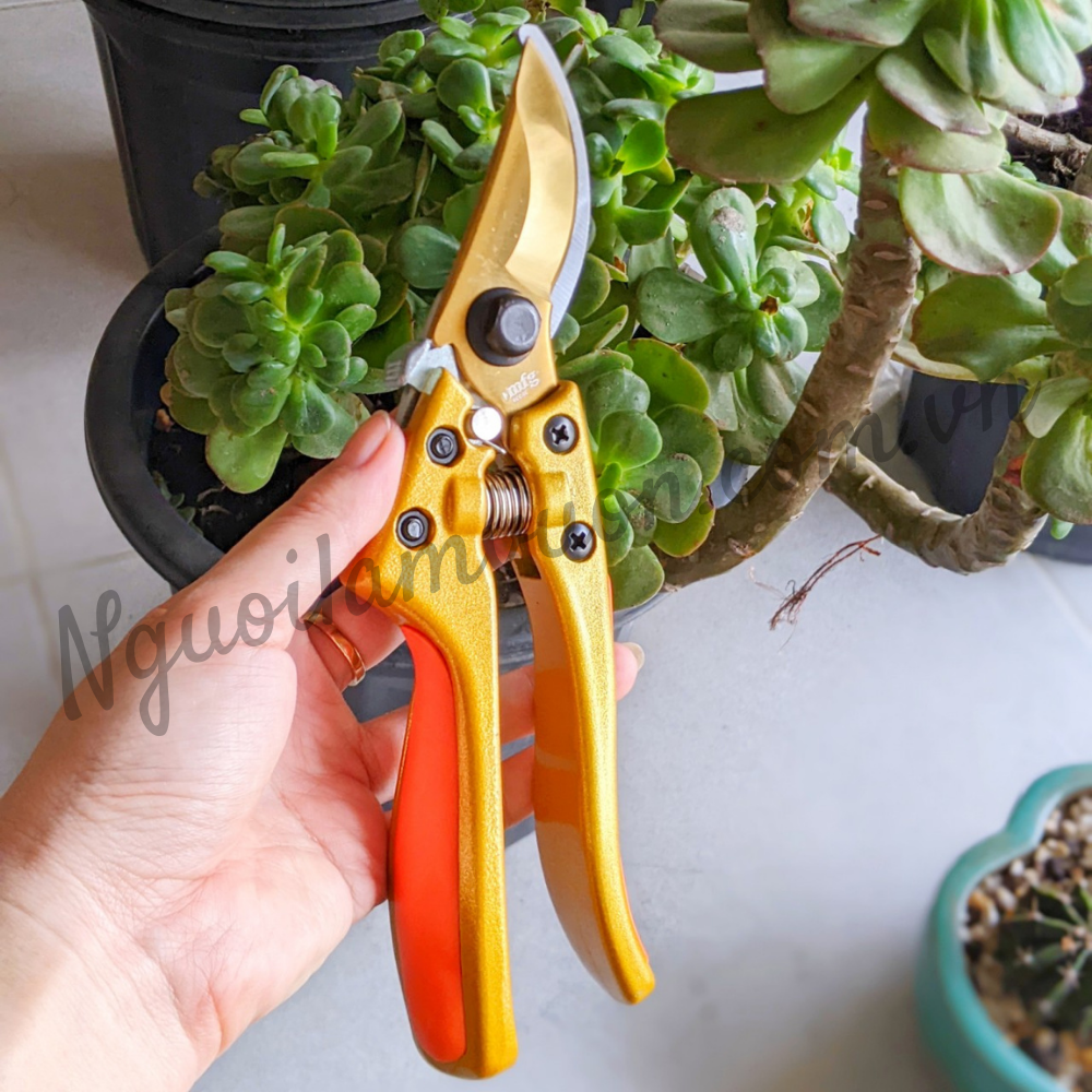 Kéo cắt cành lưỡi thép sắc bén không gỉ thương hiệu MFG tay cầm nhựa c ...