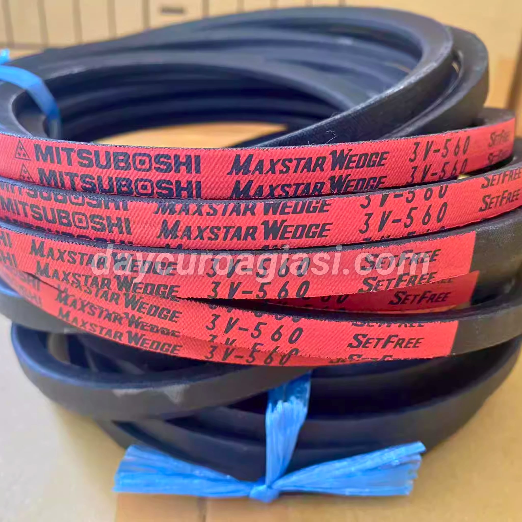 Dây curoa 3V560 – daycuroagiasi.com