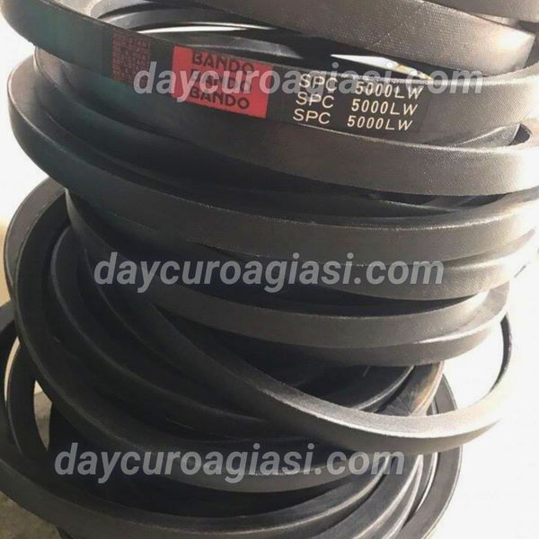 Dây curoa SPC 5000 – daycuroagiasi.com